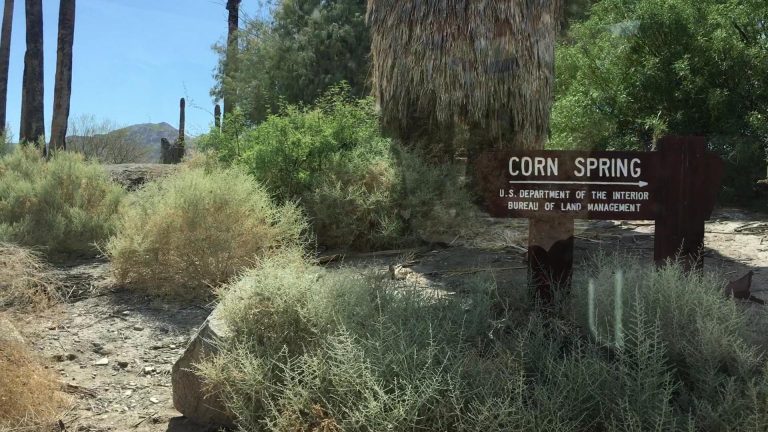 Corn Spring: Gateway to Petroglyphs, Miner’s Cabin and More – The ...