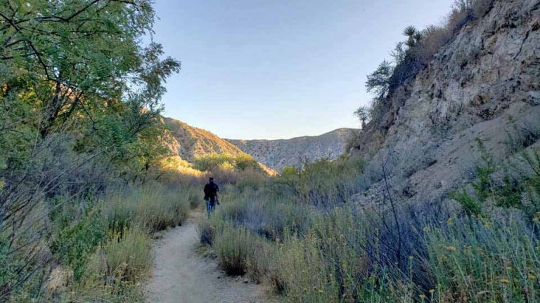 Big Morongo Canyon Preserve: Walk on the Wild Side – The Desert Way ...