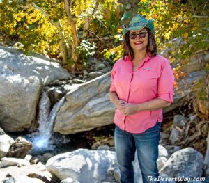 Hiking Andreas Canyon: Agua Caliente Oasis – The Desert Way with Jaylyn ...