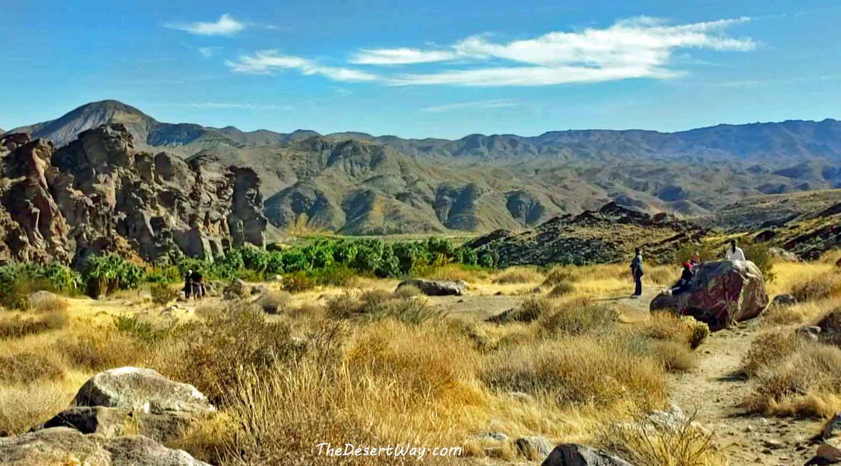 Hiking Andreas Canyon: Agua Caliente Oasis – The Desert Way with Jaylyn ...