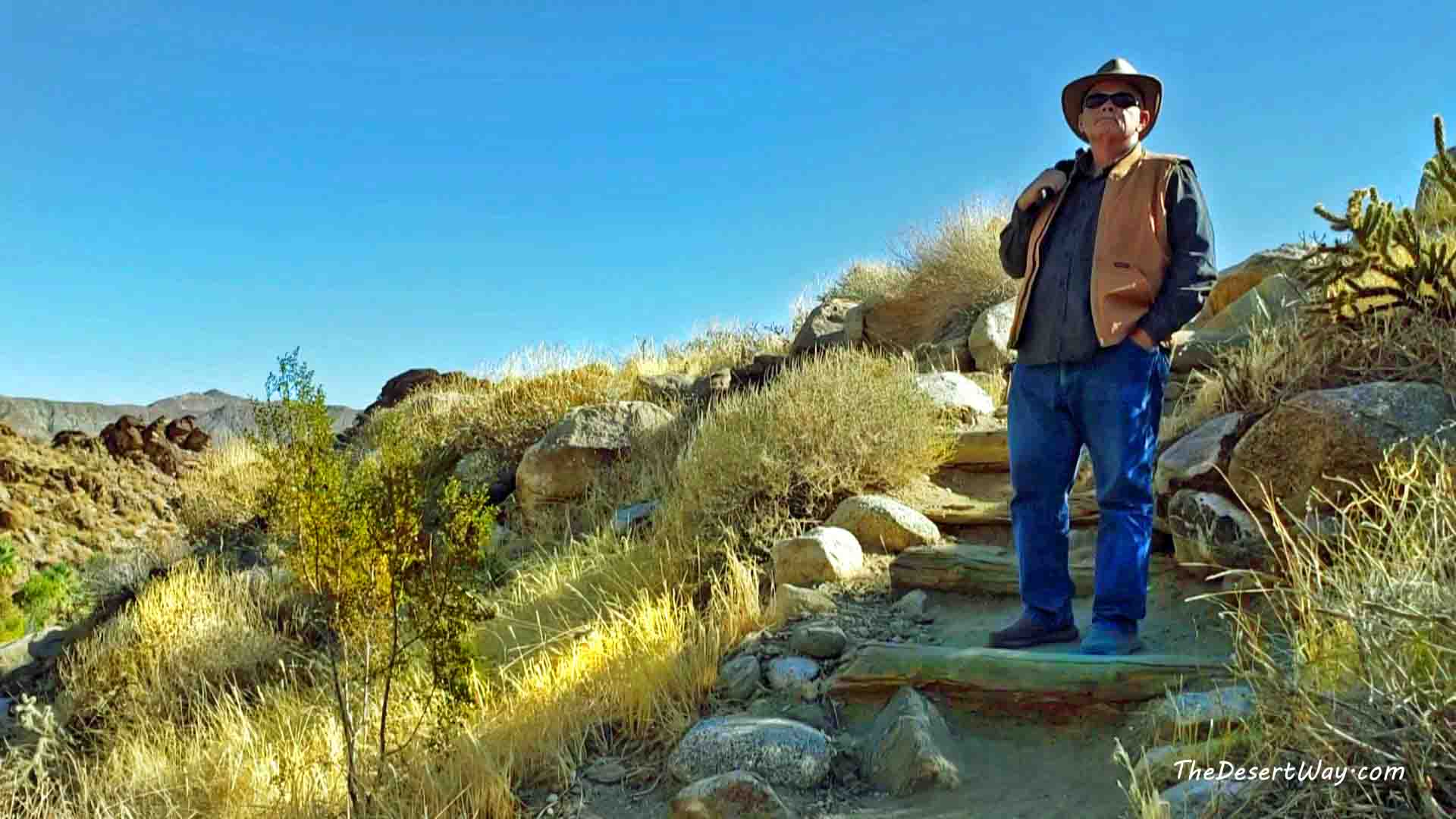 Hiking Andreas Canyon: Agua Caliente Oasis – The Desert Way with Jaylyn ...