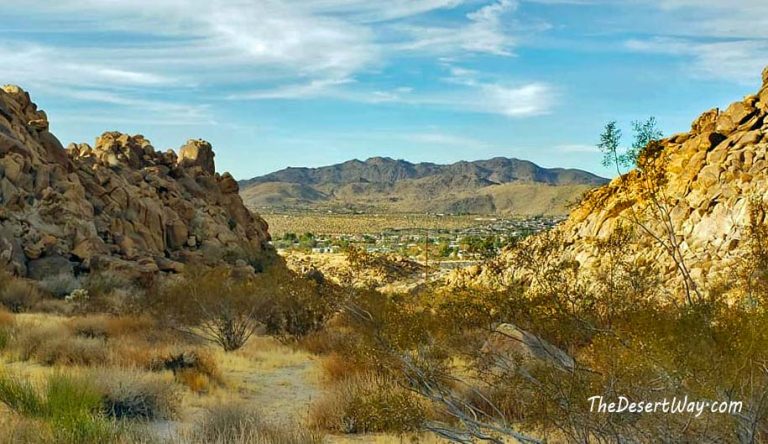 Coyote Holes: Petroglyph Paradise – The Desert Way with Jaylyn and John