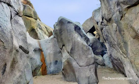 Coyote Holes: Petroglyph Paradise – The Desert Way with Jaylyn and John