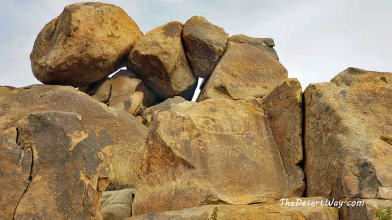 Coyote Holes: Petroglyph Paradise – The Desert Way with Jaylyn and John