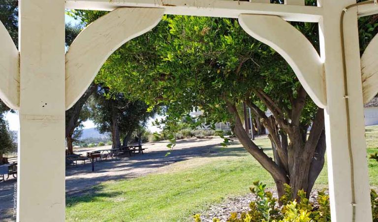 Gilman Ranch: Willie Boy and Wagon Wheels – The Desert Way with Jaylyn ...