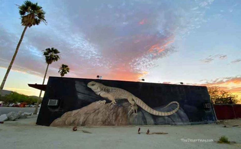 Twentynine Palms: Marines and Murals – The Desert Way with Jaylyn and John