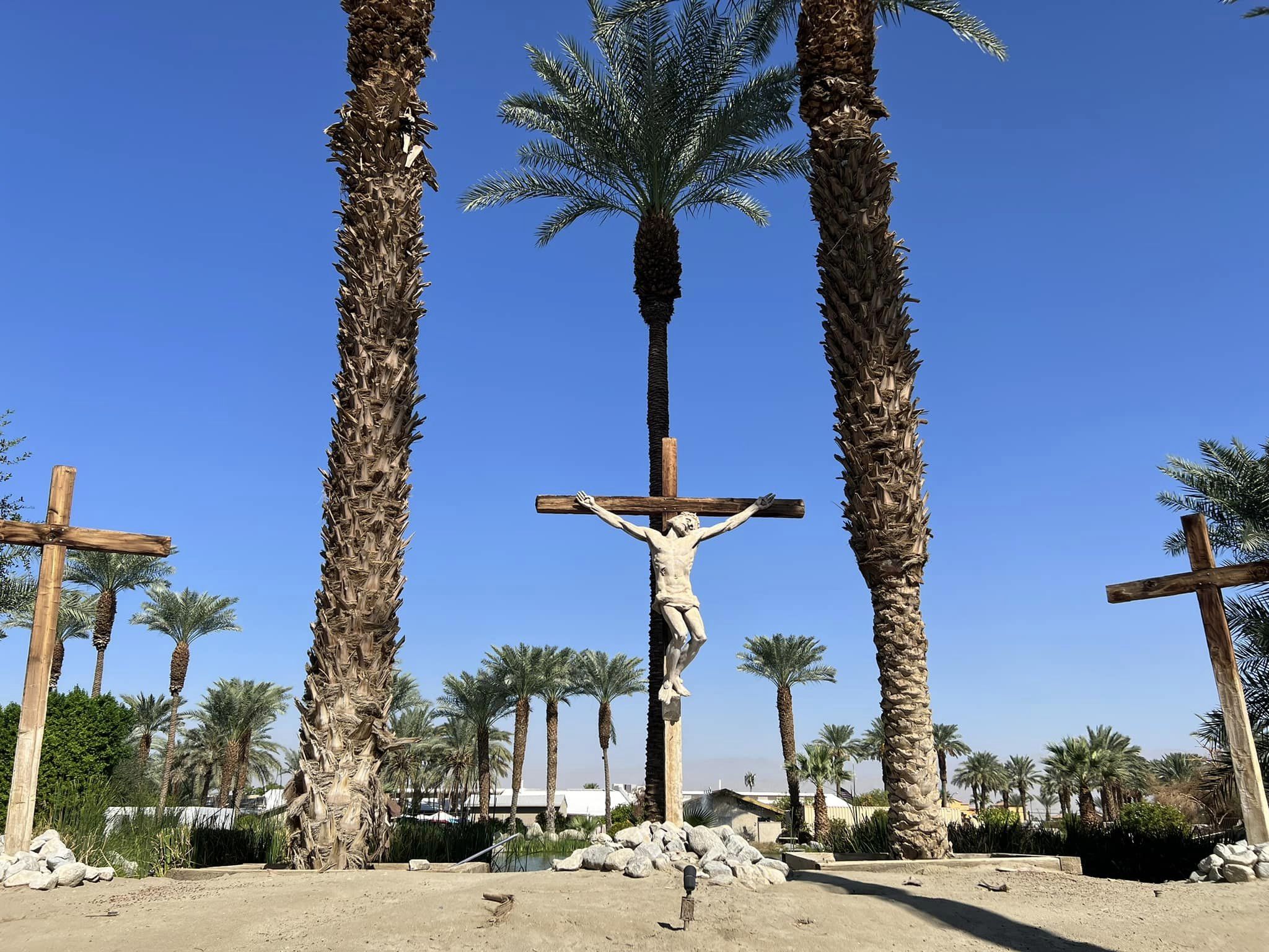 Shields Dates: Where the Dating Game Lives On – The Desert Way with ...