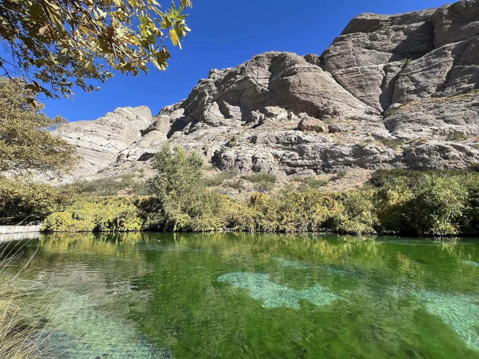 Celebrating 30 Years of California Desert Protection – The Desert Way ...