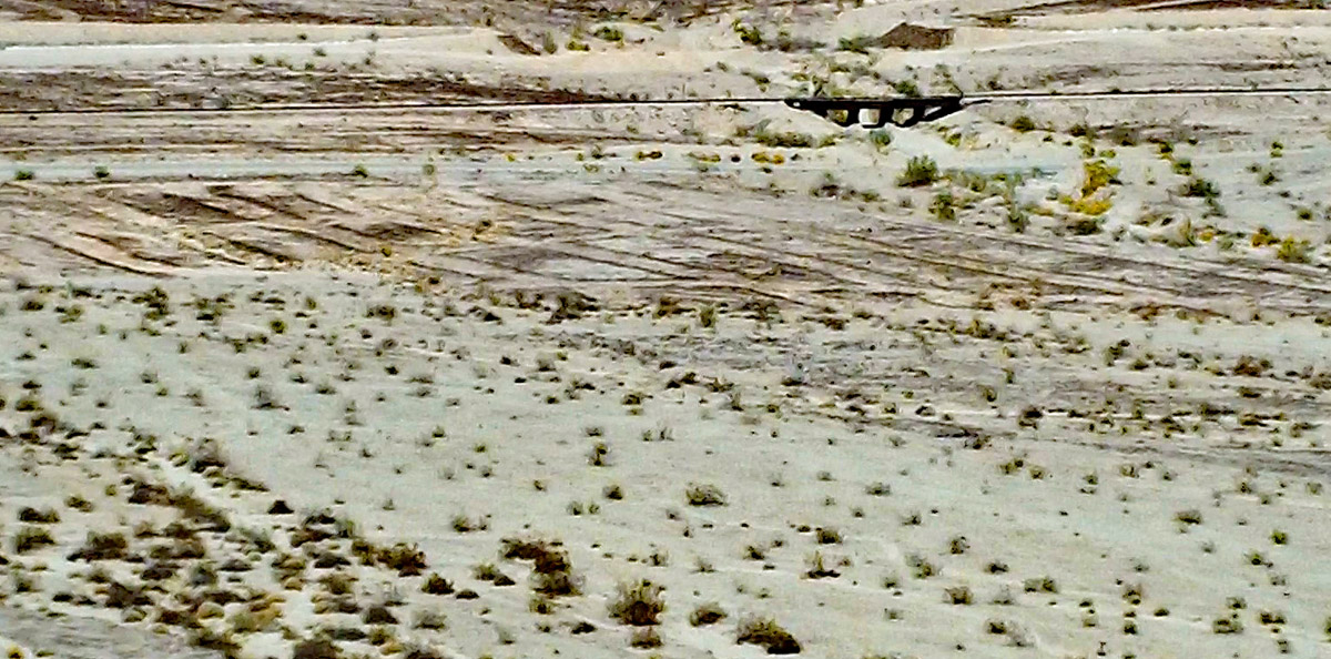 Rice, California: More Than Abandoned Shoes – The Desert Way with ...
